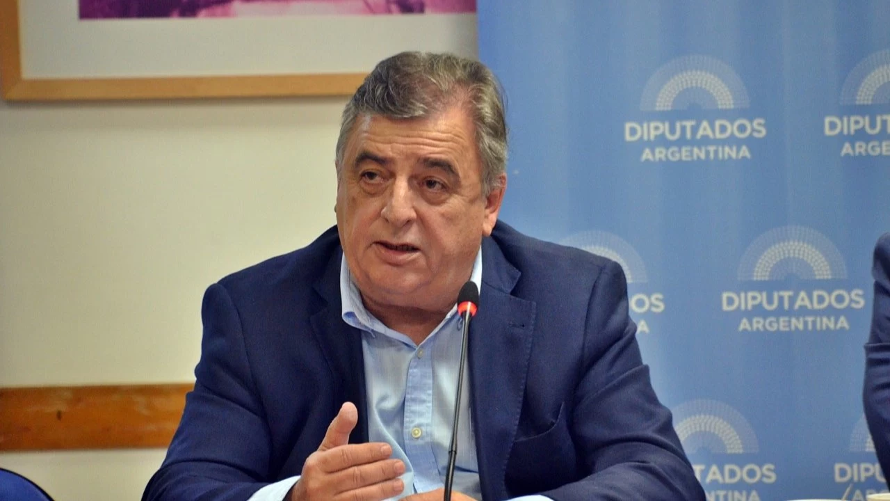 Mario Negri: "Hay que administrar las diferencias, la que viene ...