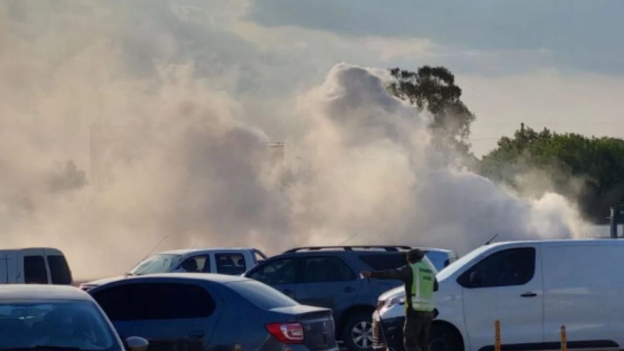 Dr. Francisco Dadic, director de toxicología: "El Cletodim es una ...