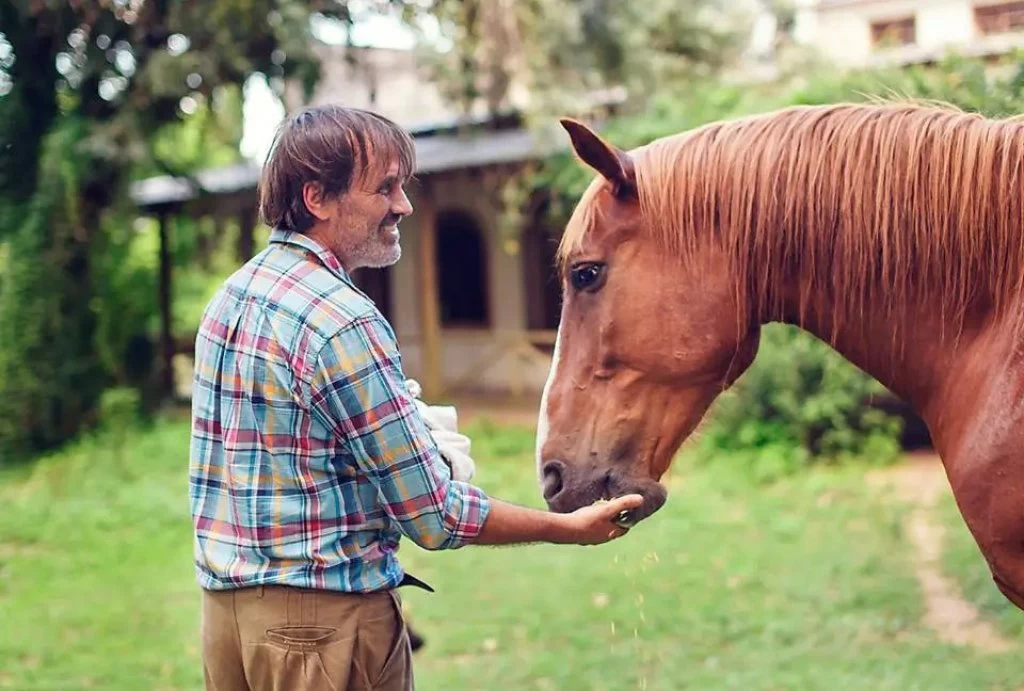 Diego D'angelo: "Cuando el caballo siente que lo entendés, te entrega ...